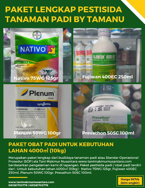 Paket Lengkap Pestisida Tanaman Padi - Tani Makmur Nusantara
