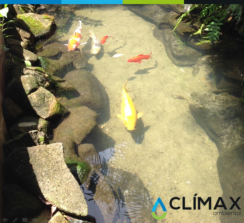 Lagos Ornamentais Climax Ambiental: Filtros para Lagos Ornamentais