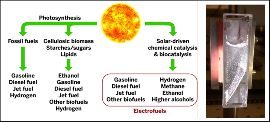 C20h42 O2 Co2 H2o - EDUCA