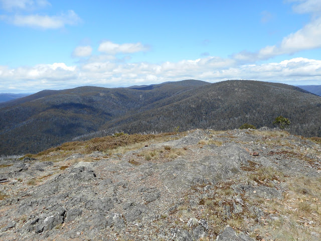 Phil's Bushwalking Blog: Namadgi National Park: Mt Aggie and Mt Franklin