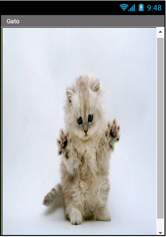 App Inventor: App Gato
