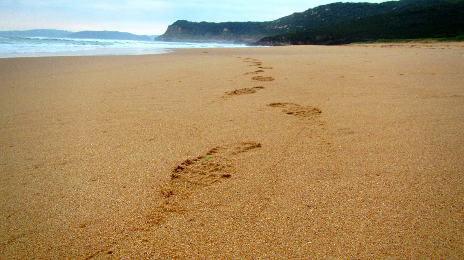 ROCK'S ADVENTURES: CENTRAL COAST BEACHES - TALLOW AND LITTLE TALLOW ...