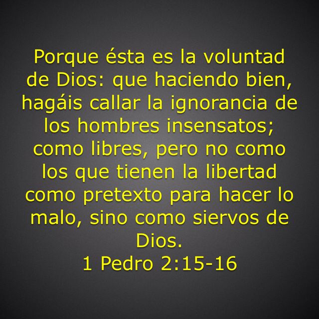 ANTOFAGASTA RELIGIOSA: LA BIBLIA: 1 PEDRO 2
