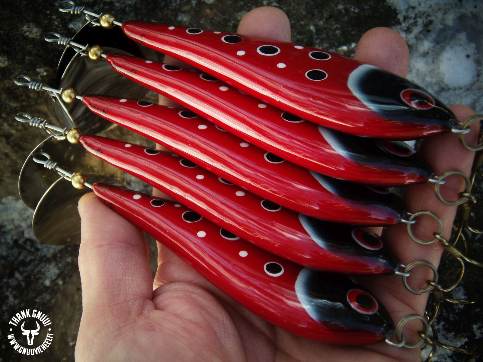 Gnuu vieheet: 50G "37"