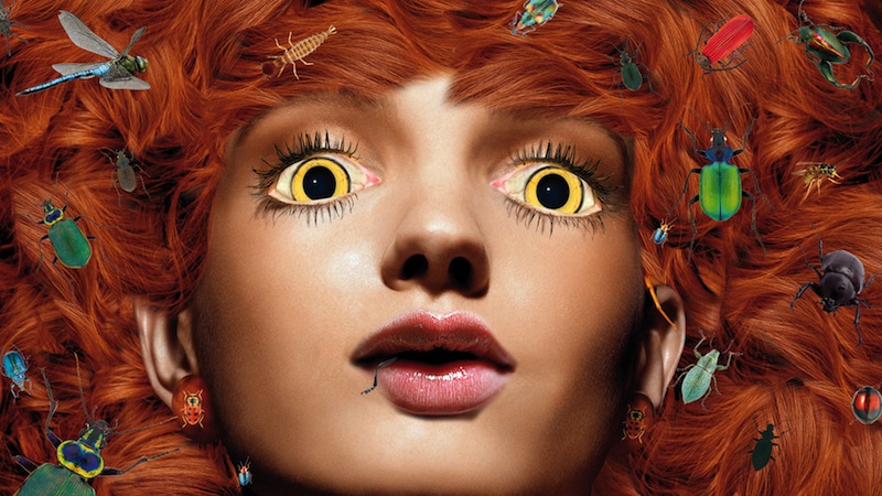 art out write: Deborah Kelly