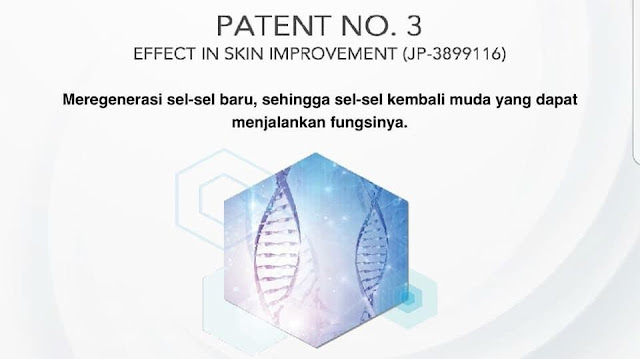 APA PATENT DAN FUNGSI SOP SUBARASHI - BISNIS AFC RAMSINA - Perusahan ...