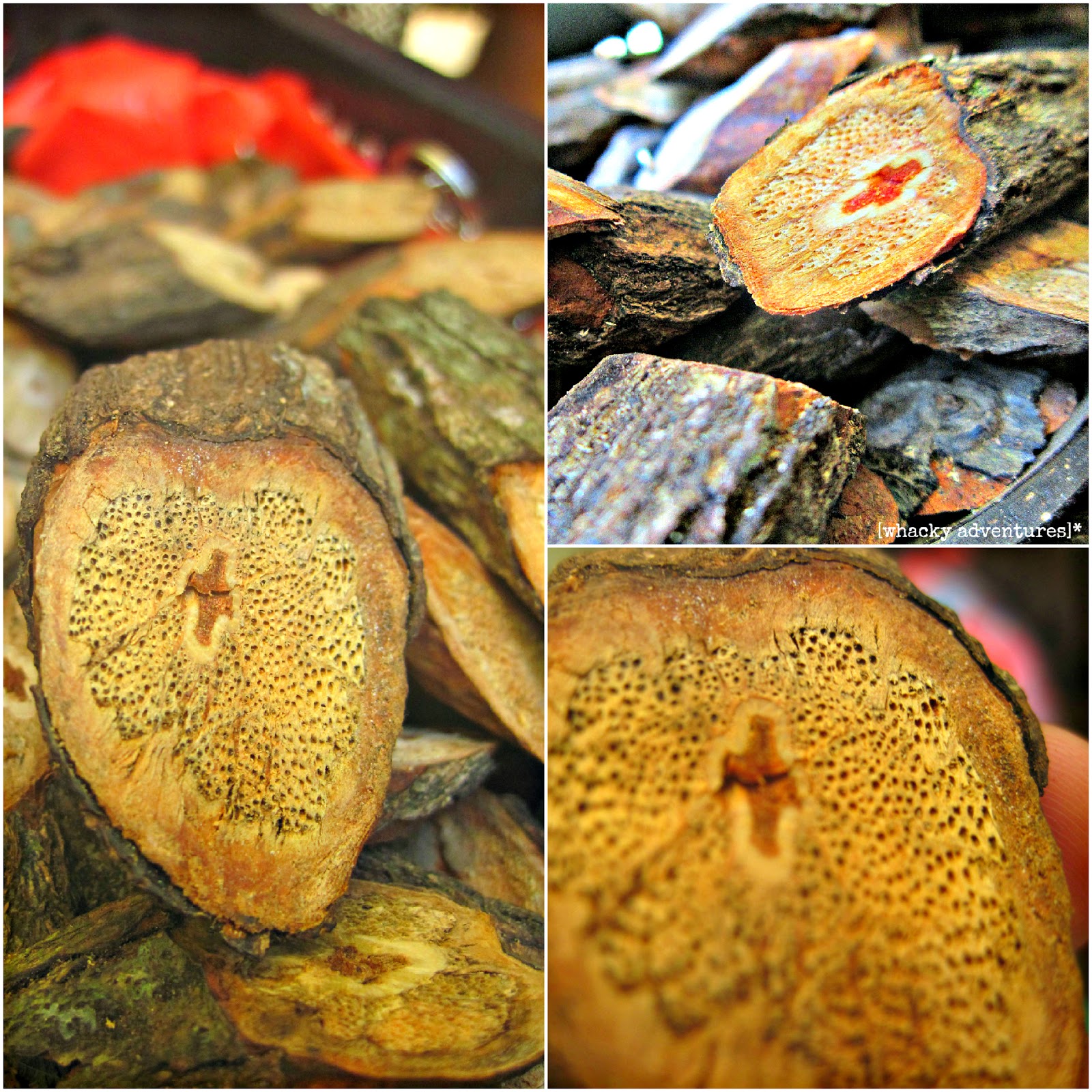 Whacky Adventures*: Guimaras: Our Lady of the Philippines Trappist Abbey