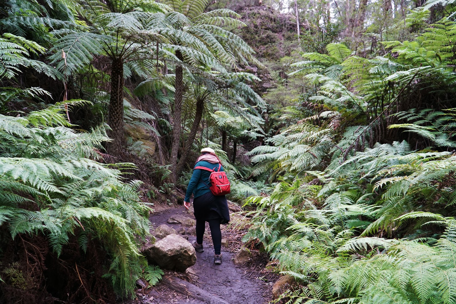 Glow Worm Tunnel Walk Track (Wollemi National Park) ~ The Long Way's Better