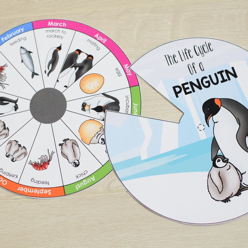 Winter Animal Life Cycle Studies | The Pinay Homeschooler