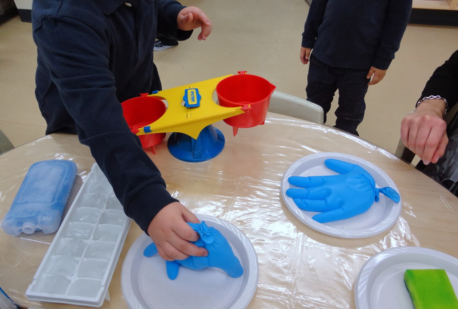 I LEARNED IT IN KINDERGARTEN!: Winter Inquiry