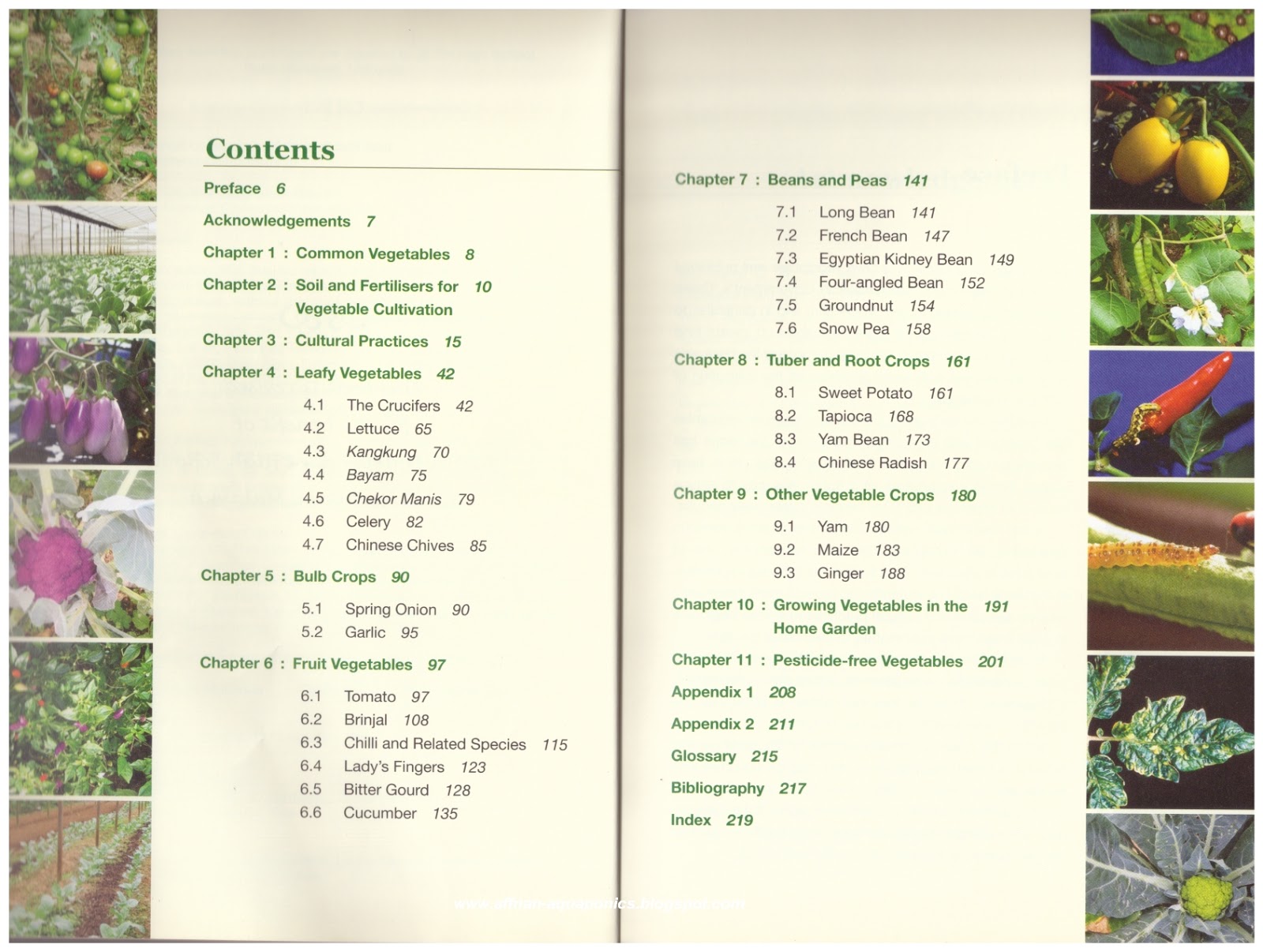 Affnan's Aquaponics: Grow Your Own Vegetables - A Book Review