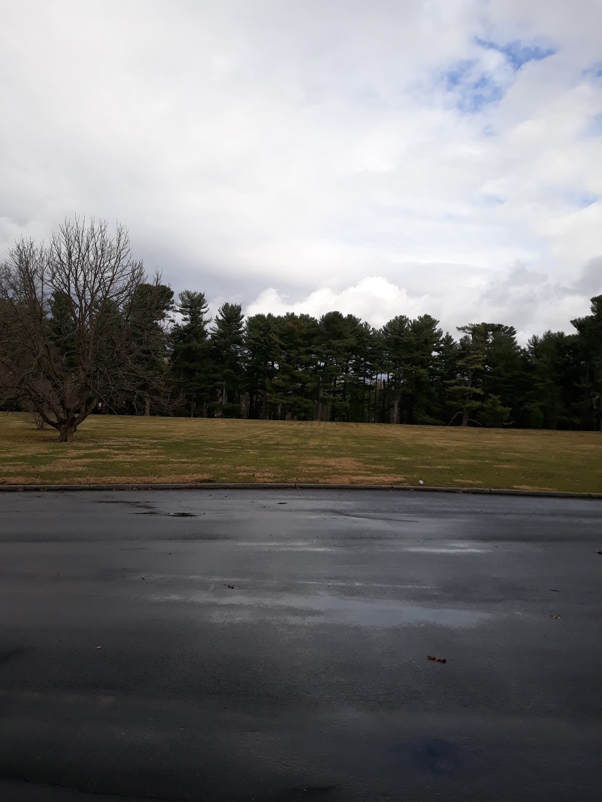 For the House Frederick William Vanderbilt Built: “Hyde Park”