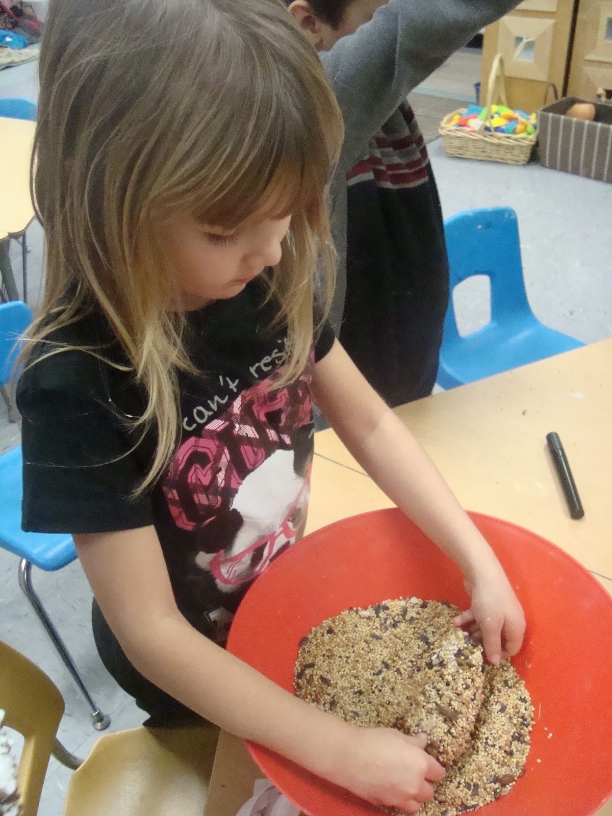 Joyful Learning in the Early Years: Feeding the Birds