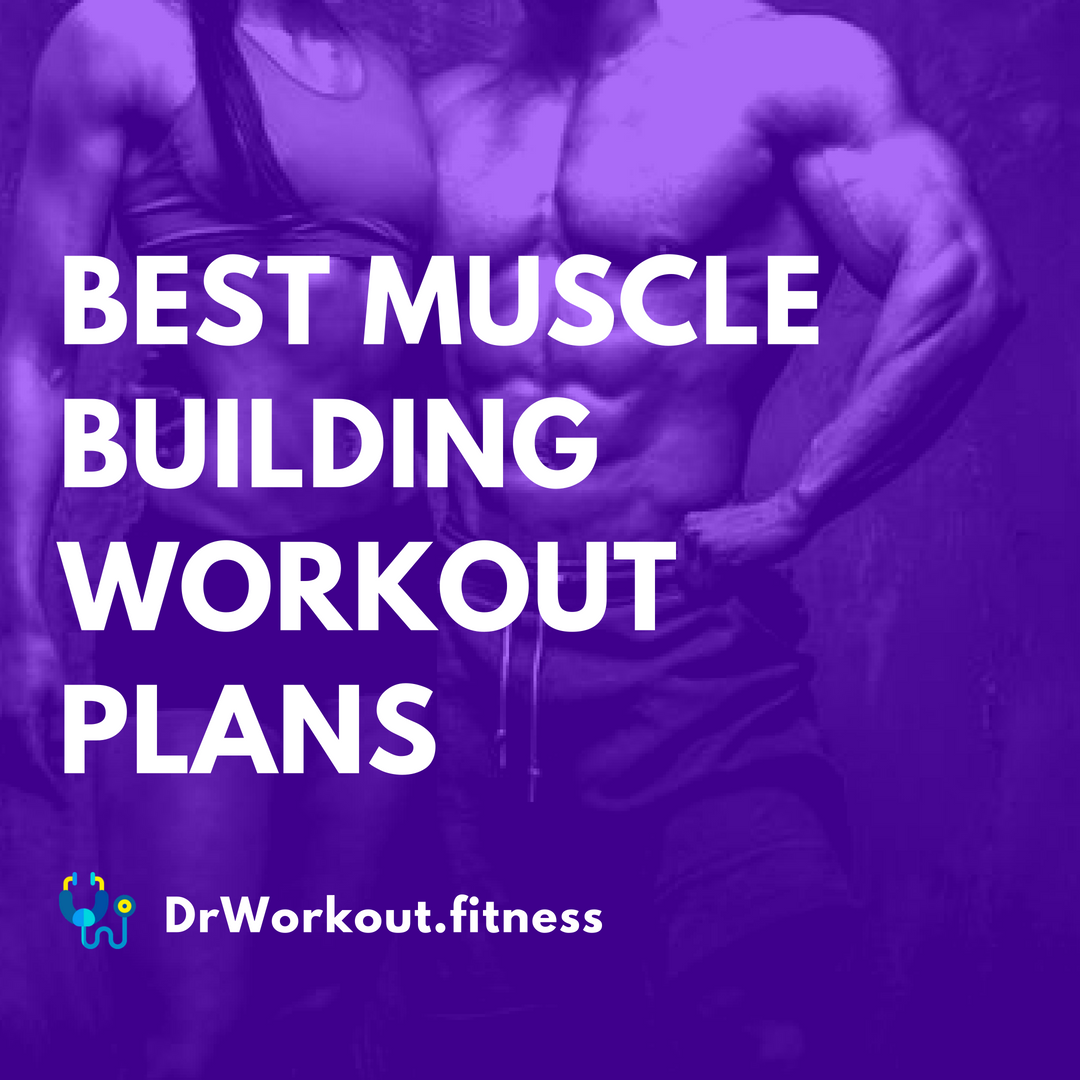 Muscle Building 3 Day Split, 4 Day Upper/Lower & 5 Day Split Workout ...