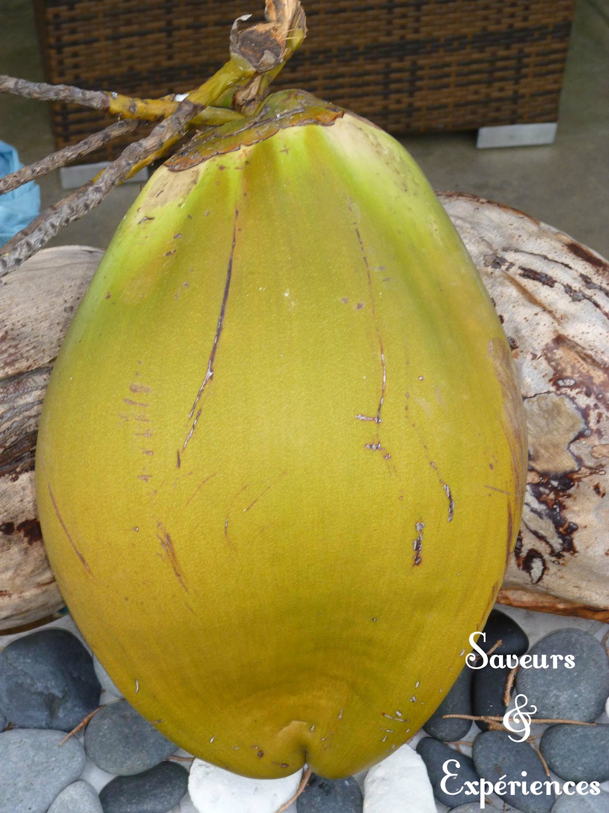 Saveurs et Expériences : Lait de Coco et Eau de Coco