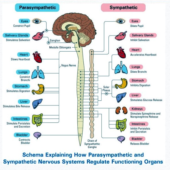 Healthcare, etc.: June 2019