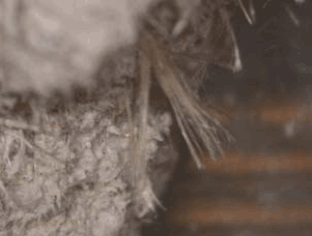 1 DEFINICIONES, PROPIEDADES DEL AMIANTO