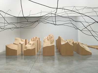 Ruminations on Art and Life: Maya Lin: What's She Been Doing?