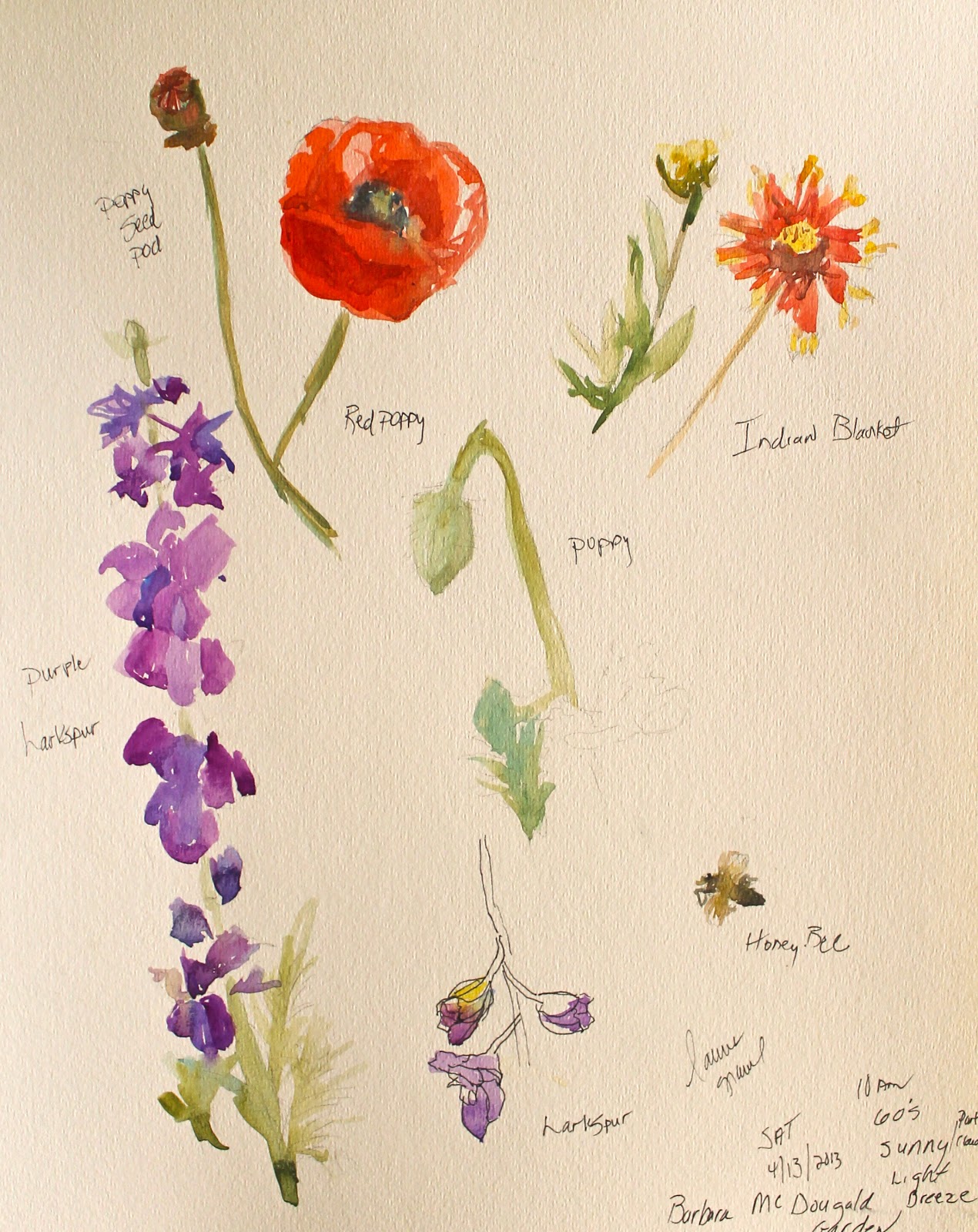 Artist,Laurie Grawl: Botanical Field Study