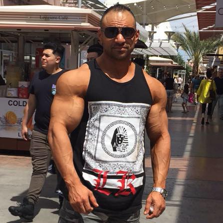 world bodybuilders pictures: unites sstaes of american bodybuilder ...