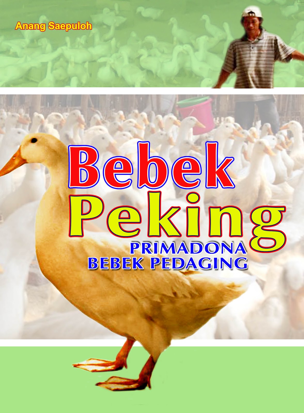 Geografi dan Lingkungan: Bebek Peking Primadona Bebek Pedaging