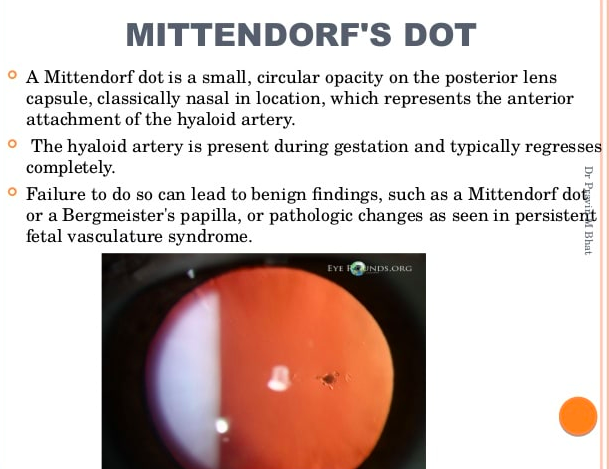 Mittendorf's Dot.