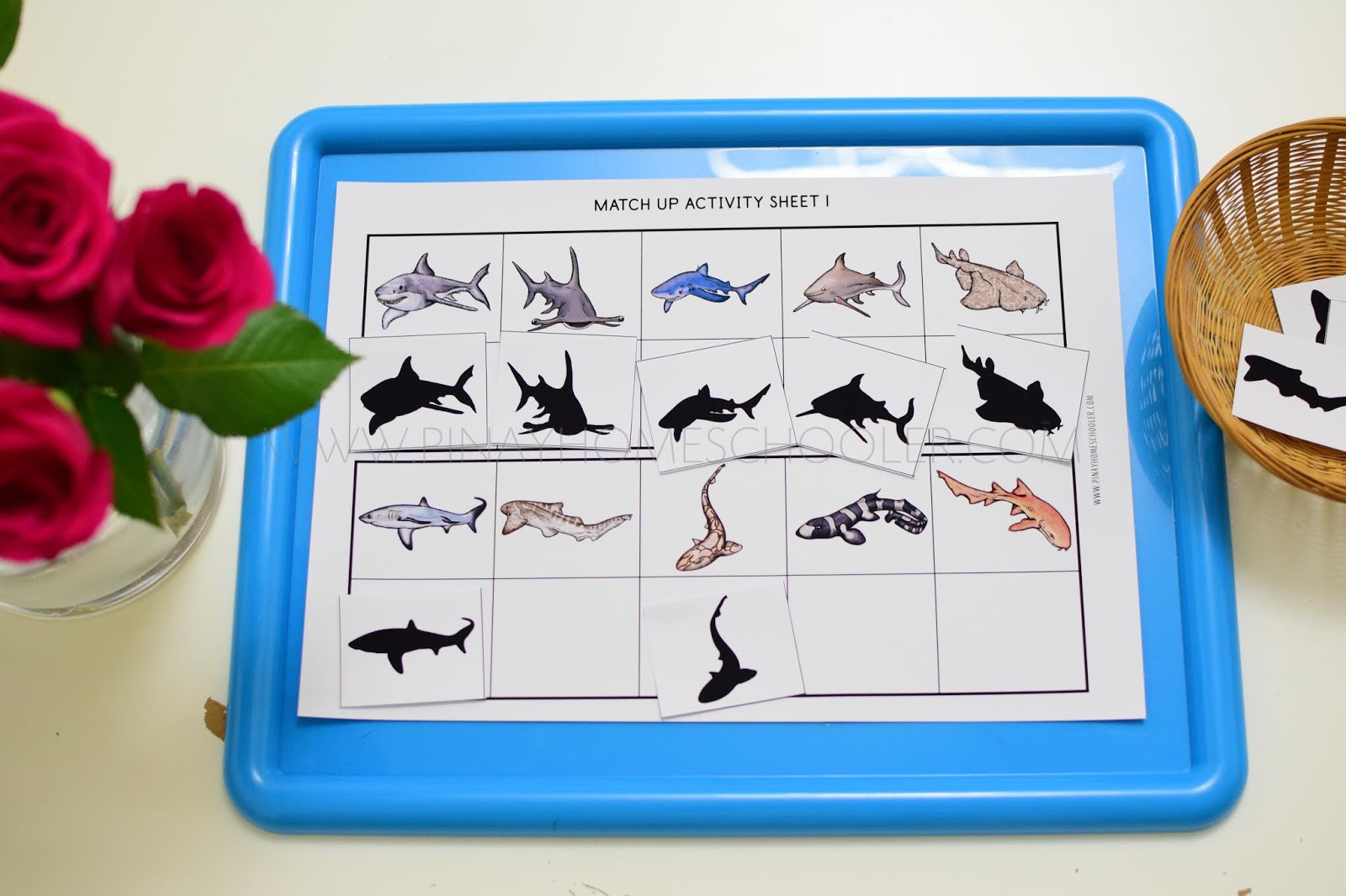 Sharks Preschool Mini Unit | The Pinay Homeschooler
