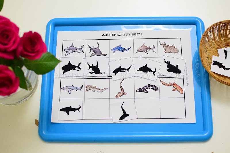 Sharks Preschool Mini Unit | The Pinay Homeschooler