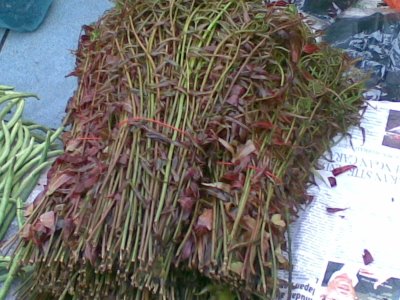 This is my life...: Makanan baru~