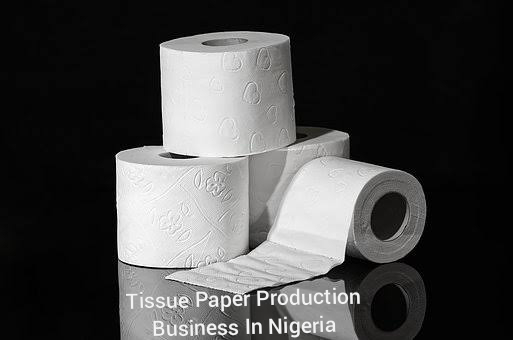 How To Start Tissue Paper Production Business In Nigeria Local Toilet Paper Manufacturing Guide how-to-start-tissue-paper-production-business-in-nigeria-local-toilet-paper-manufacturing-guide