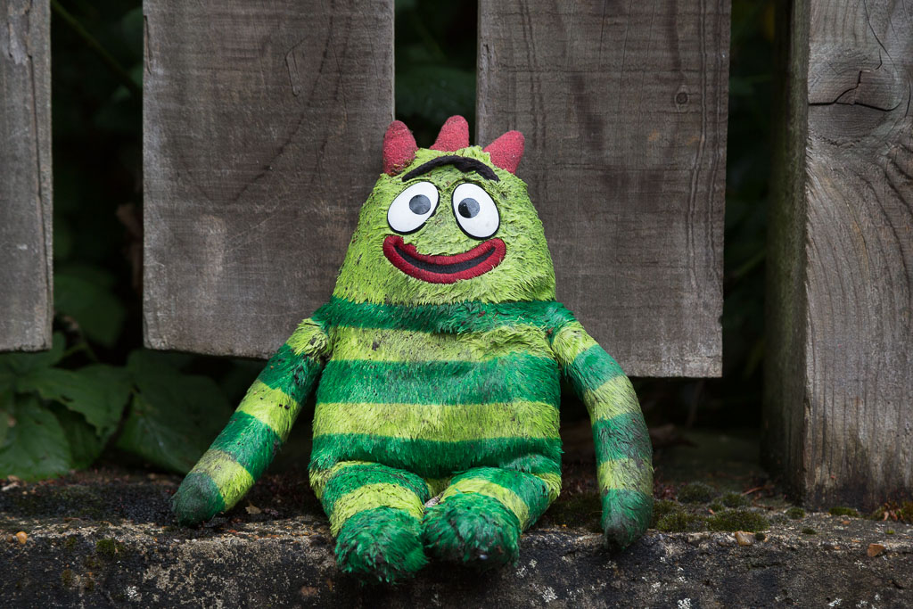 Shadows & Light: A Caterpillar and a Monster