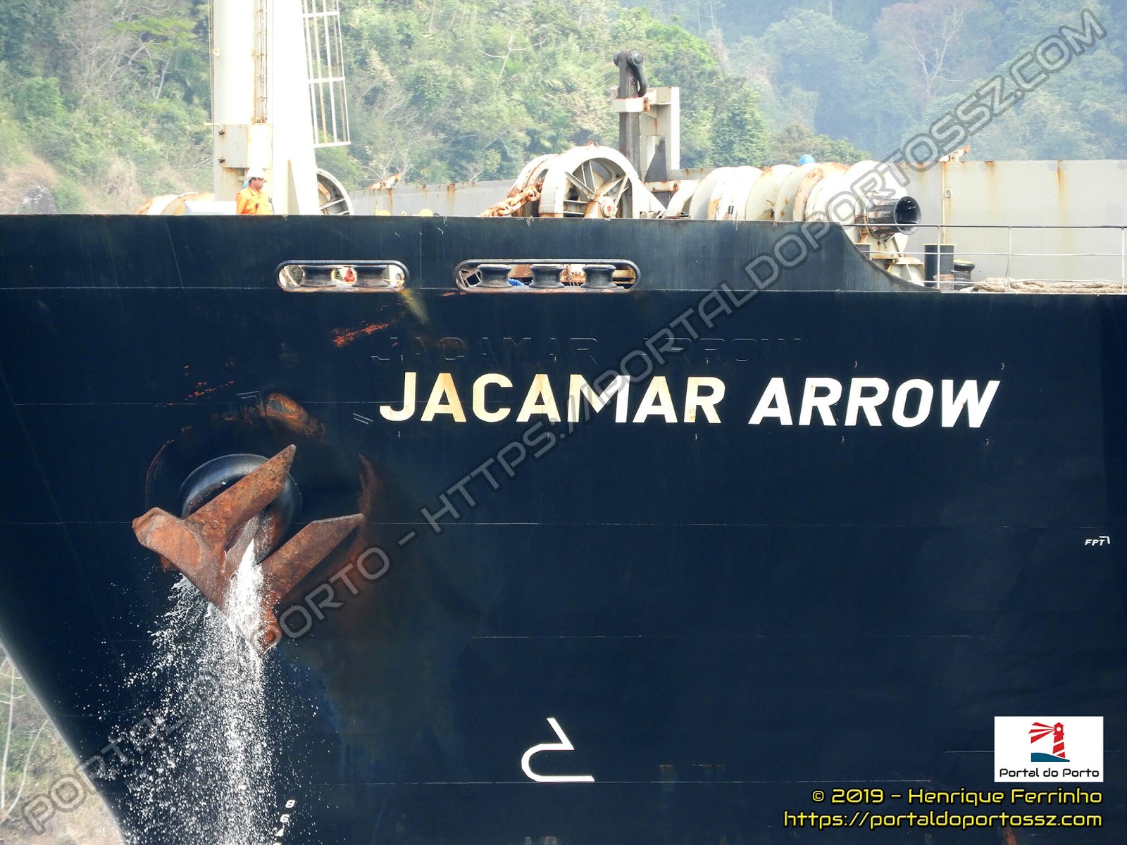 Jacamar Arrow - Portal do Porto