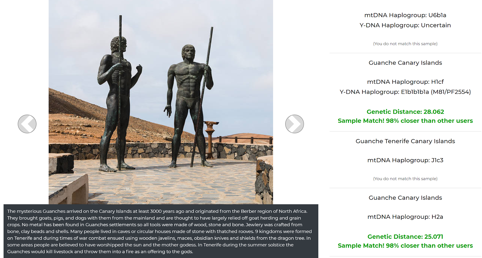 Digging Down to the Guanche