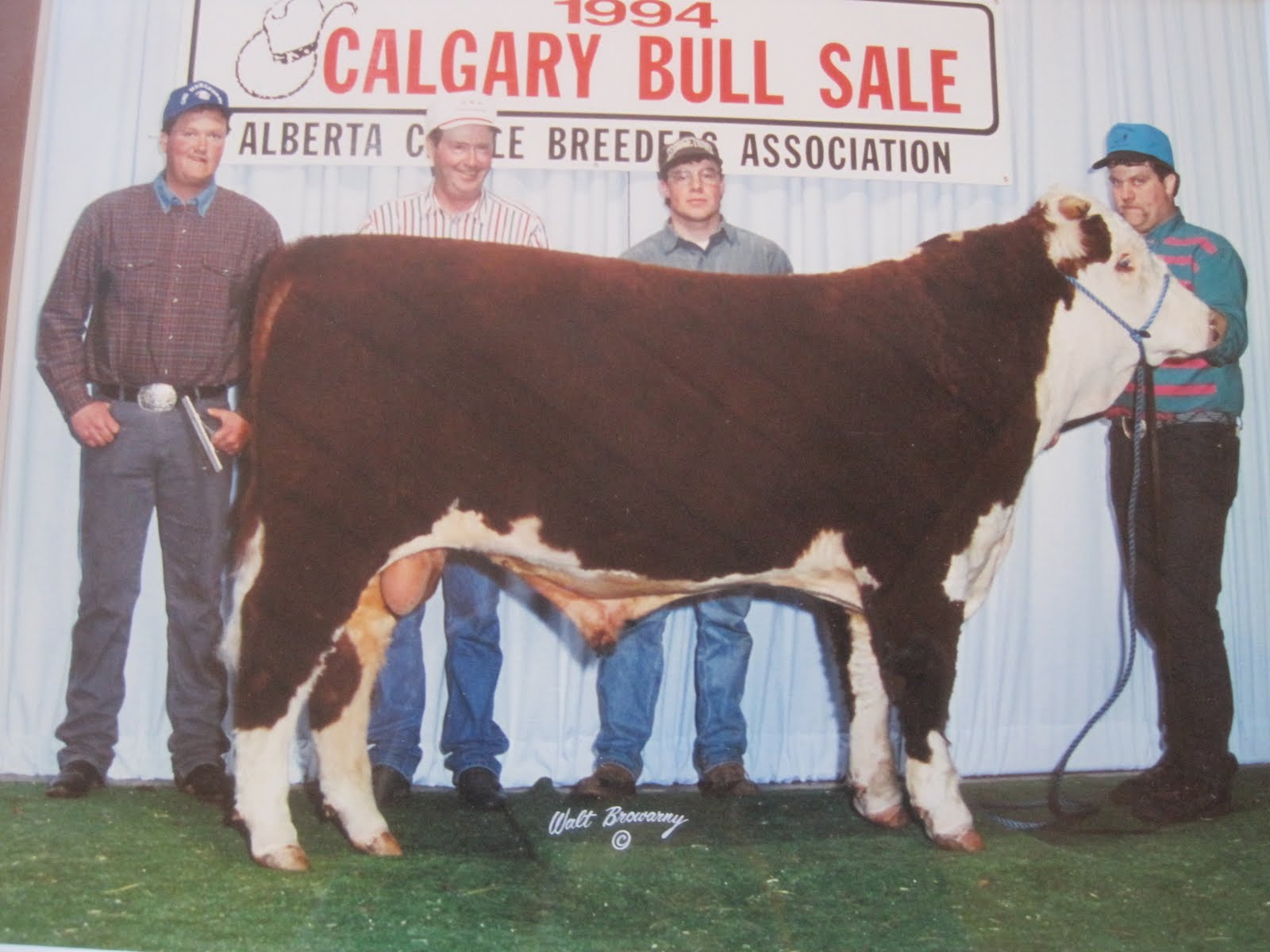 Down on the Farm: "The Calgary Bull Sale"