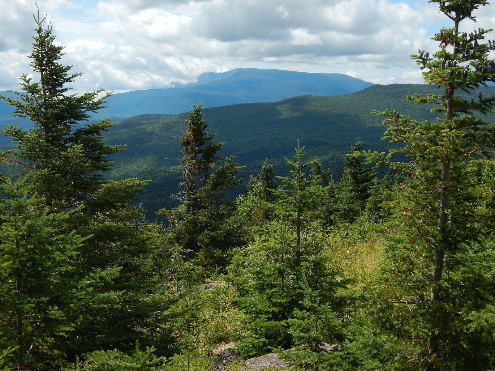 EvanHikes: An Overlooked Summit: Black Cat Mountain