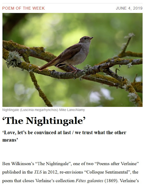The Nightingale: TLS Poem of the Week
