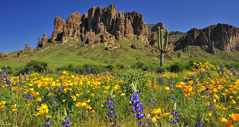 The Superstition Mountain: The mountain beauty with mystery - Travel ...