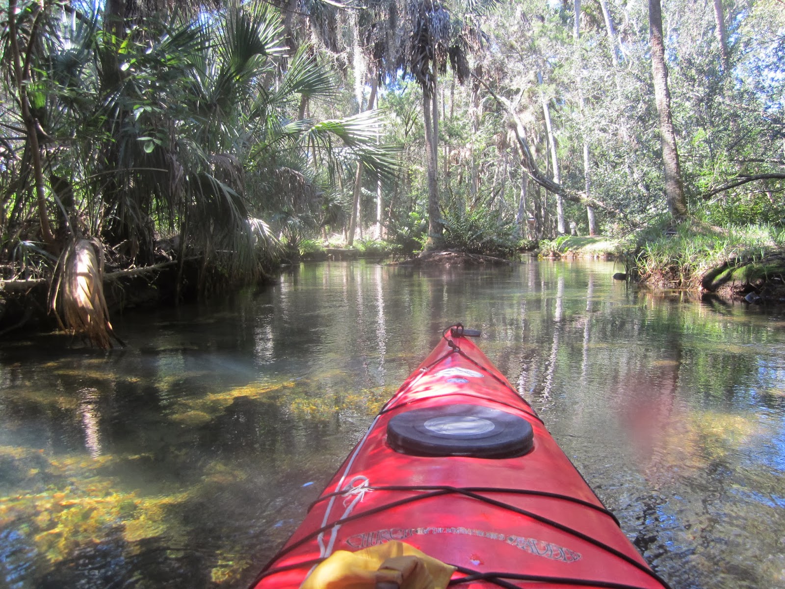 Dave's Yak Tales: Weeki Wachee, Mud River, and Salt Spring