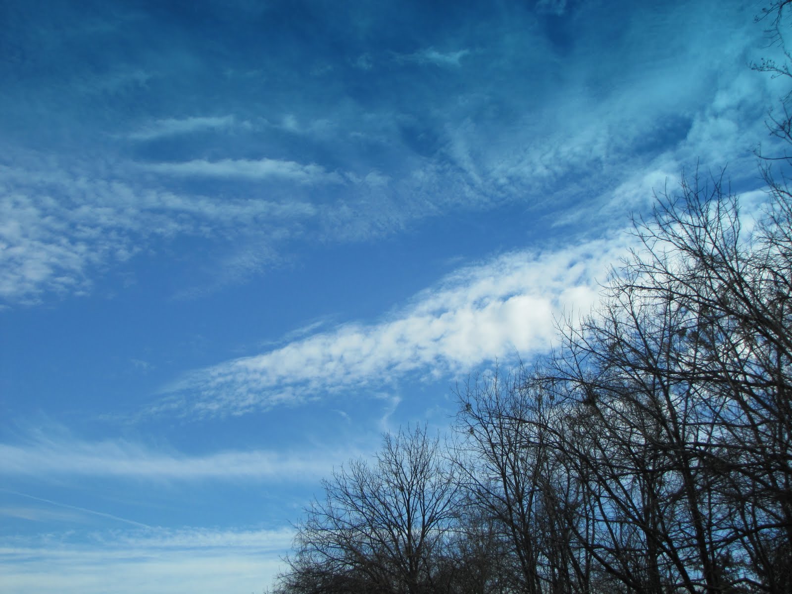 Tidbits of Joy: Beautiful winter sky