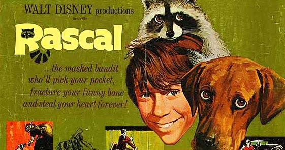 Started By A Condor: Rascal