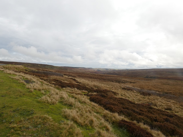 Boz North's Trail - Walking Blog: Waskerley Way - Hownsgill Farm to ...