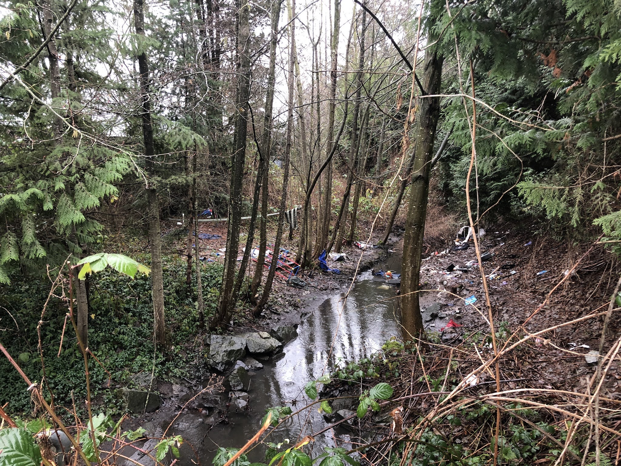 The South Fraser Blog: Practical ways to reduce litter in our parks ...