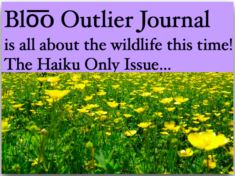 Area 17 Blo o Outlier Journal Issue 3 Submission Guidelines Nature Wildlife Natural area-17-blo-o-outlier-journal-issue-3-submission-guidelines-nature-wildlife-natural