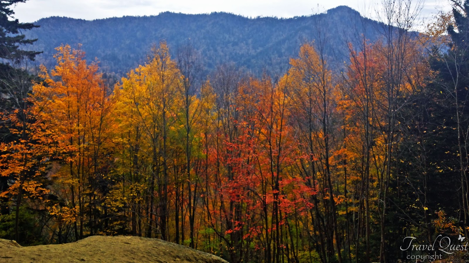 Alum Cave Trail | Travel Quest - US Road Trip and Travel Destinations