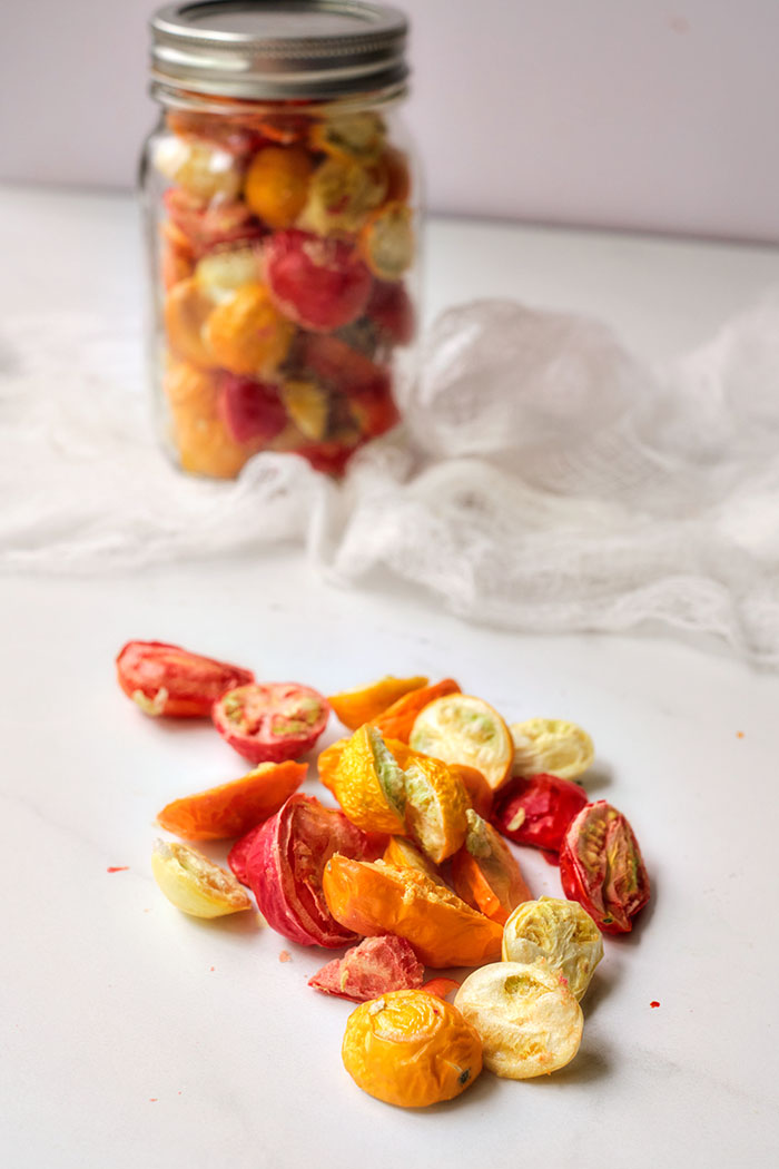 Freeze Drying Tomatoes at Home With Harvest Right - Koti Beth
