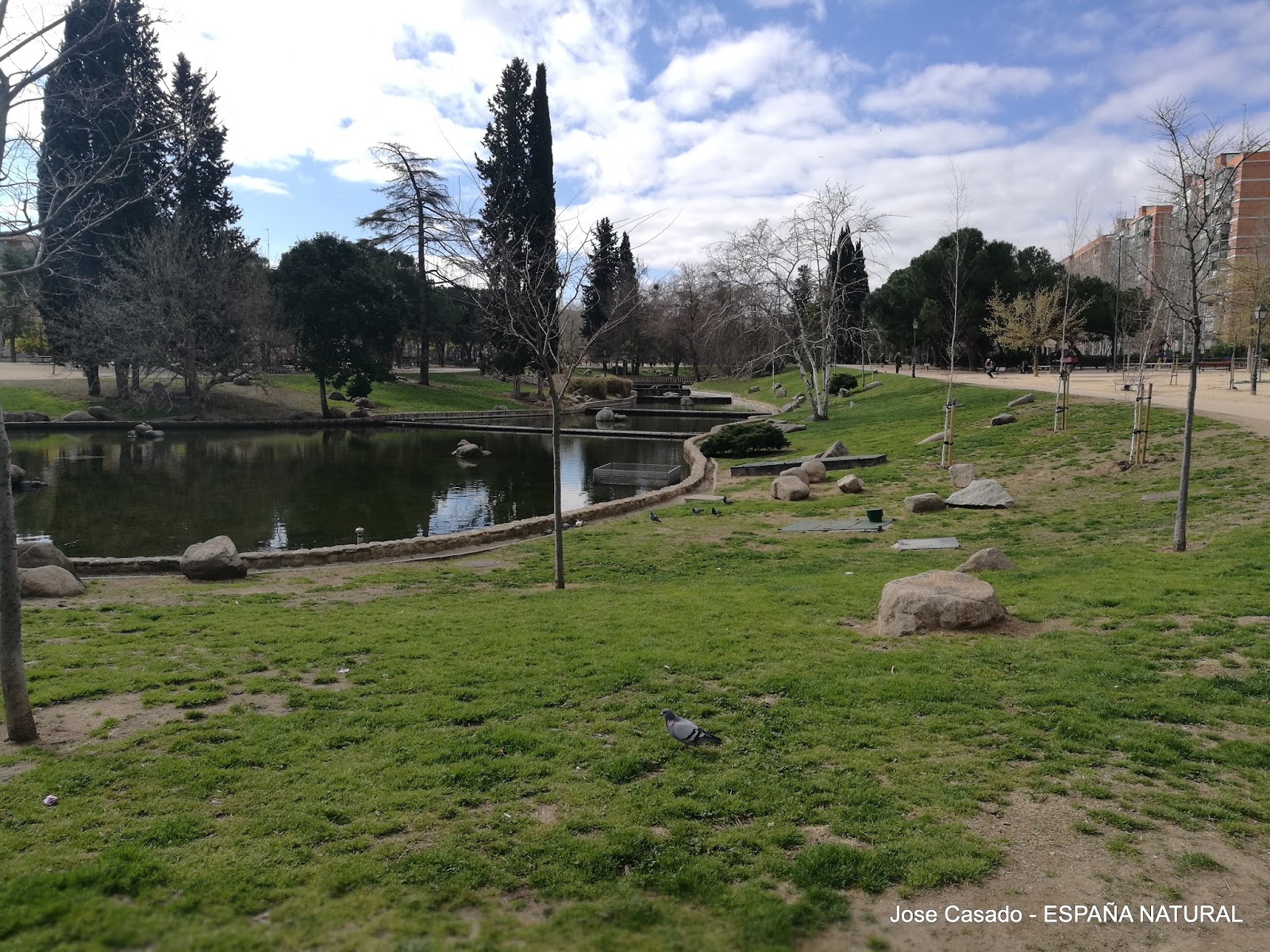 ESPAÑA NATURAL: PARQUE DE ALUCHE-LA CUÑA VERDE