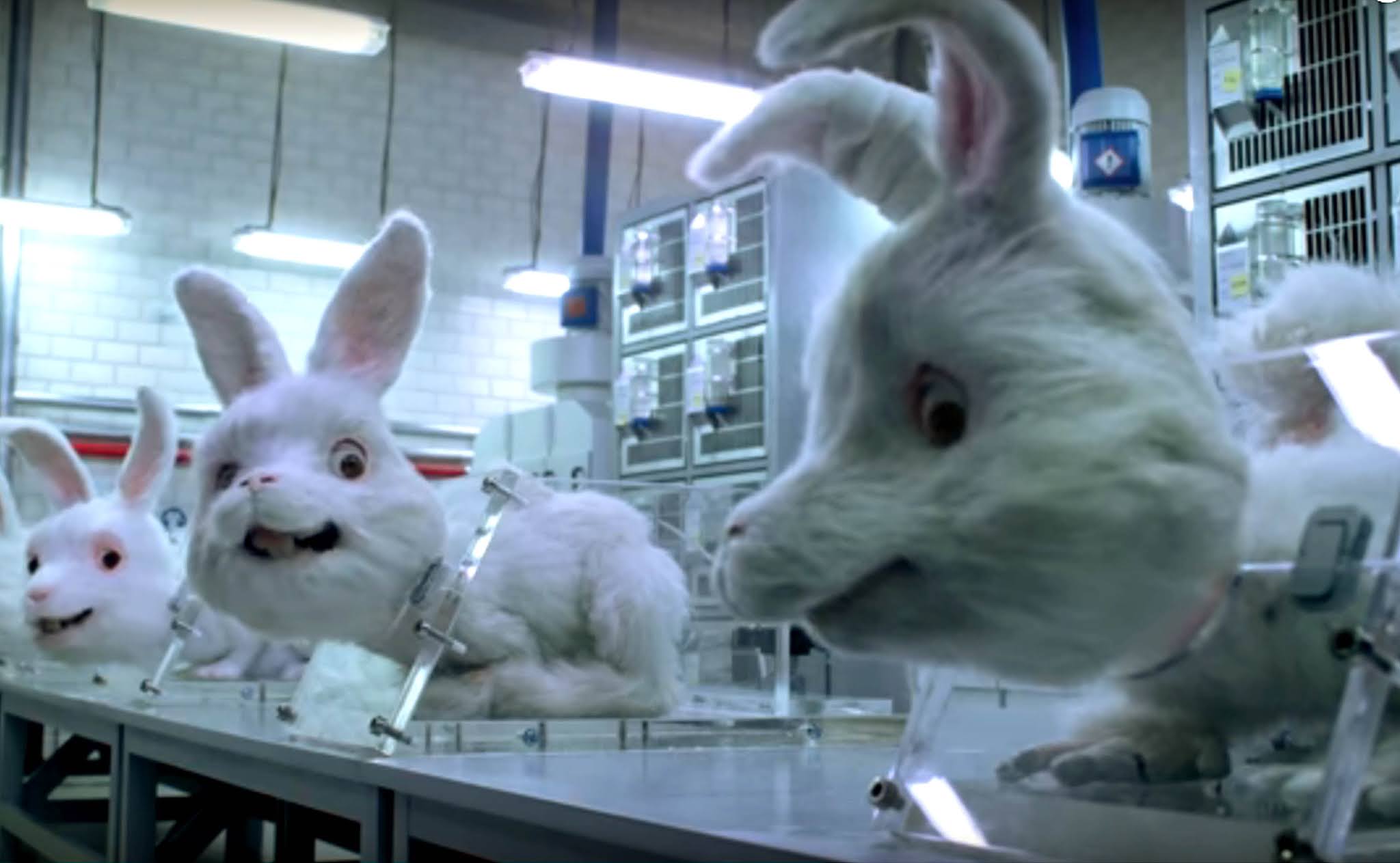 Kampanye Larangan Uji Coba Kosmetik pada Hewan Melalui Film Save Ralph ...