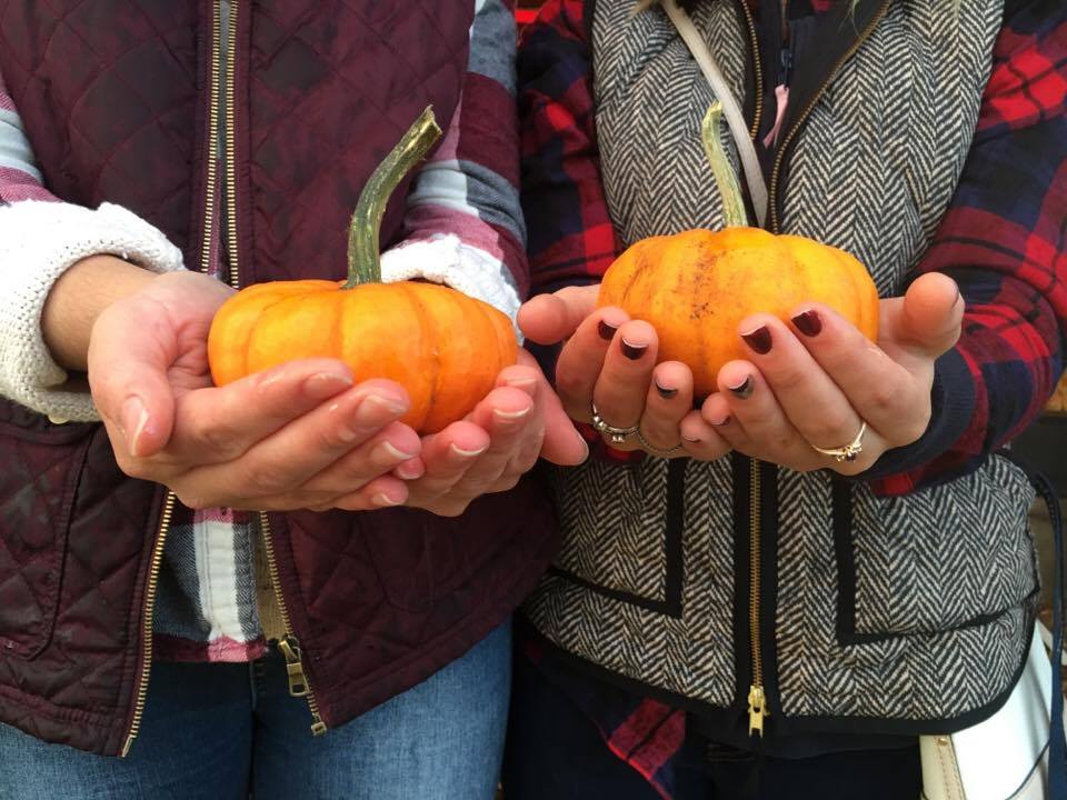 Be Positive Be Preppy : Pumpkin Patch