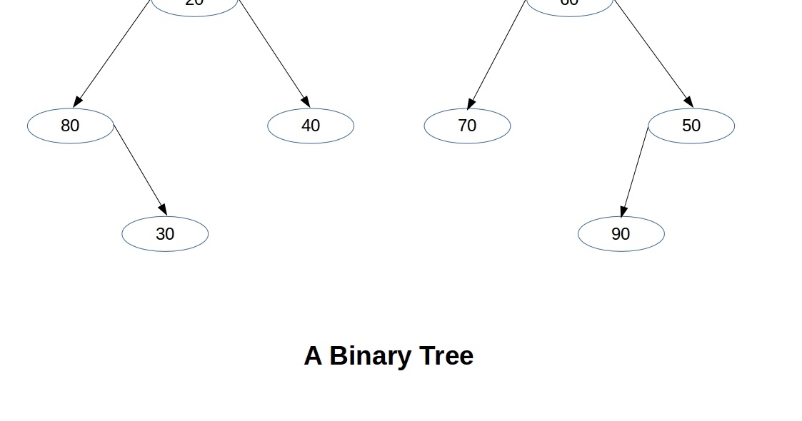 Data Structure Rooted Binary Tree An Overview