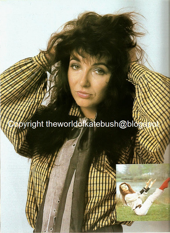THE WORLD OF KATE BUSH: A Visual Documentary (Book)